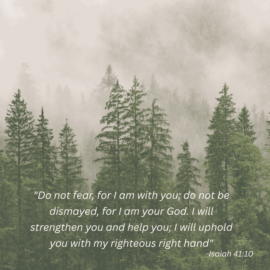 Fear Not: Isaiah 41:10 - Grace for My Home
